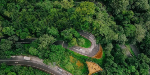 The Best Places to Visit in Agumbe